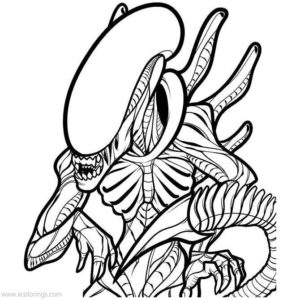 Predator Outline Coloring Pages - XColorings.com