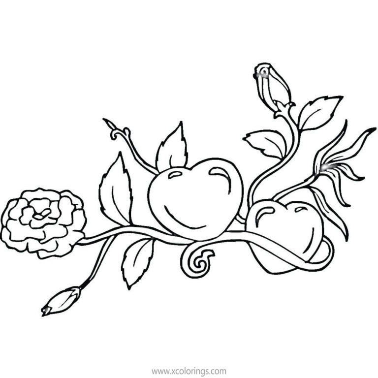 Valentines Day Heart Coloring Pages with Two Flowers - XColorings.com