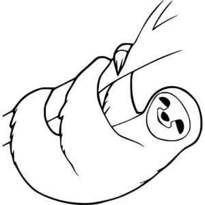 Two Toed Sloth Coloring Pages Printable - XColorings.com