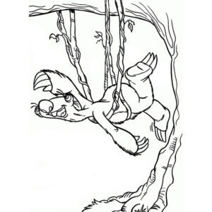 Two Toed Sloth Coloring Pages Printable - XColorings.com