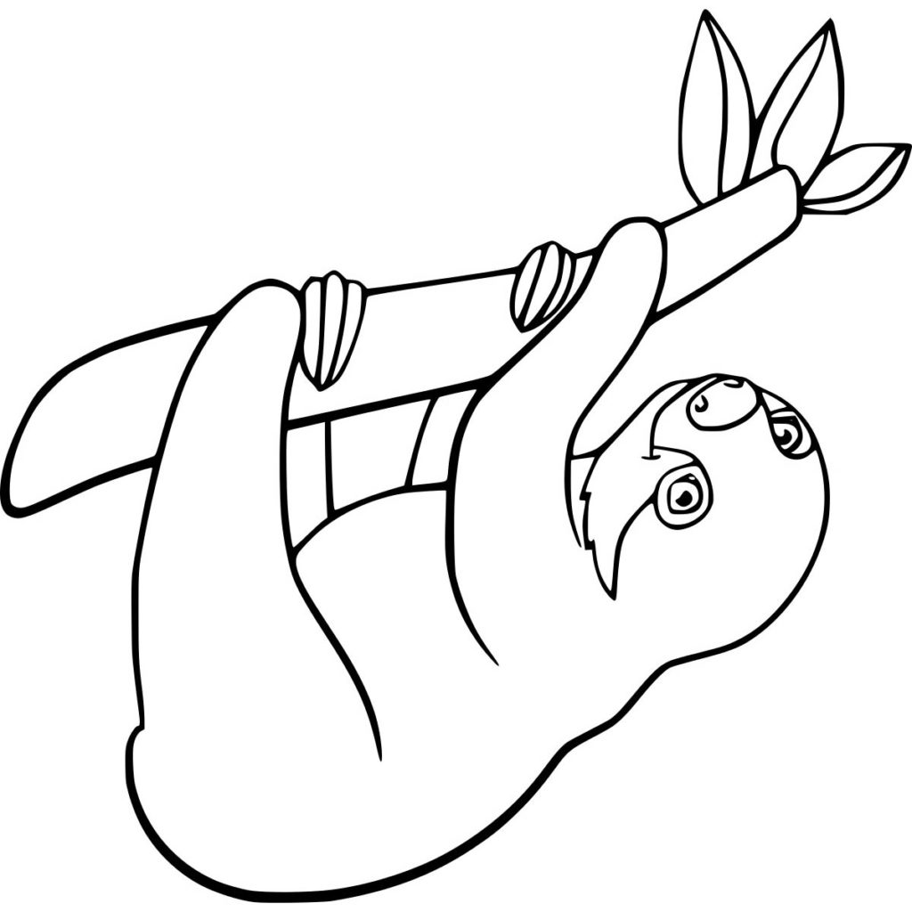Cartoon Sloth Coloring Pages - XColorings.com