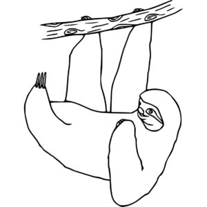 Three Toed Sloth Coloring Pages for Kids - XColorings.com